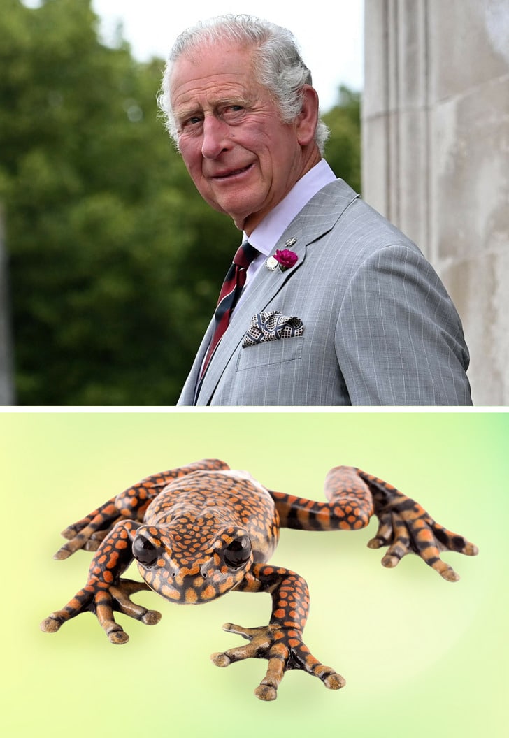 O‘rgimchak, qurbaqa, qovun: Mashhur shaxslar nomi bilan atalgan 14 ta ...