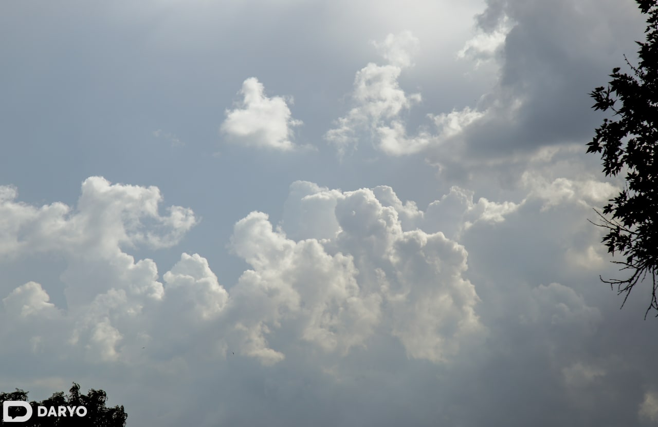O‘zbekistonning ayrim hududlarida 12-may kuni qisqa muddatli yomg‘ir yog‘ishi kutilmoqda