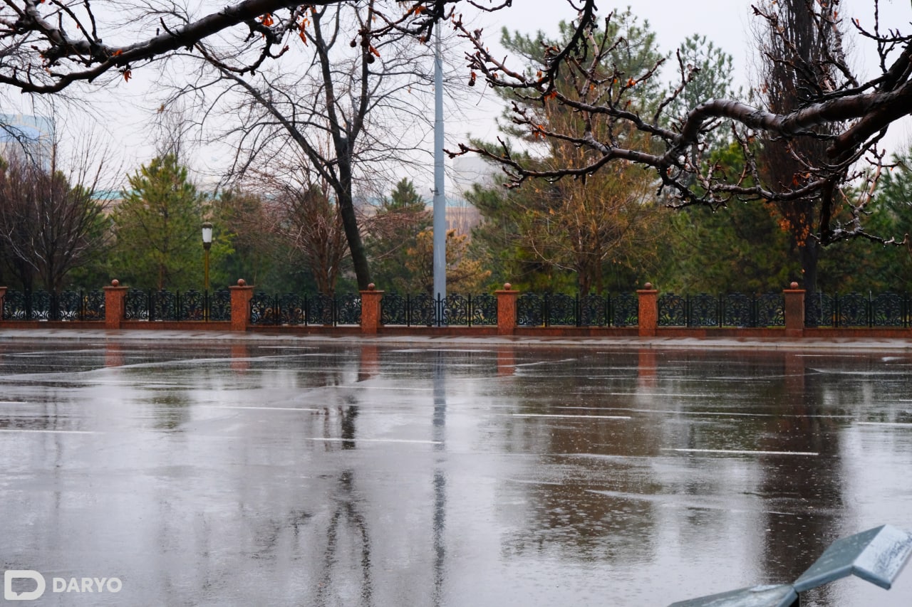 O‘zbekistonning ayrim hududlarida 18-may kuni yomg‘ir yog‘ishi kutilmoqda