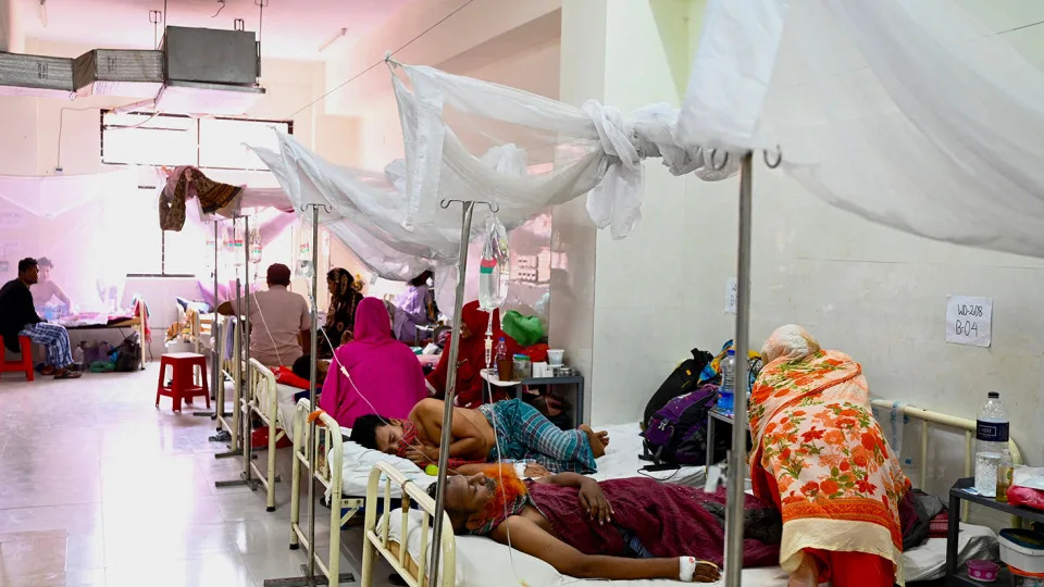 Dengue outbreak in Bangladesh: over 1,000 dead, 208,000 infected