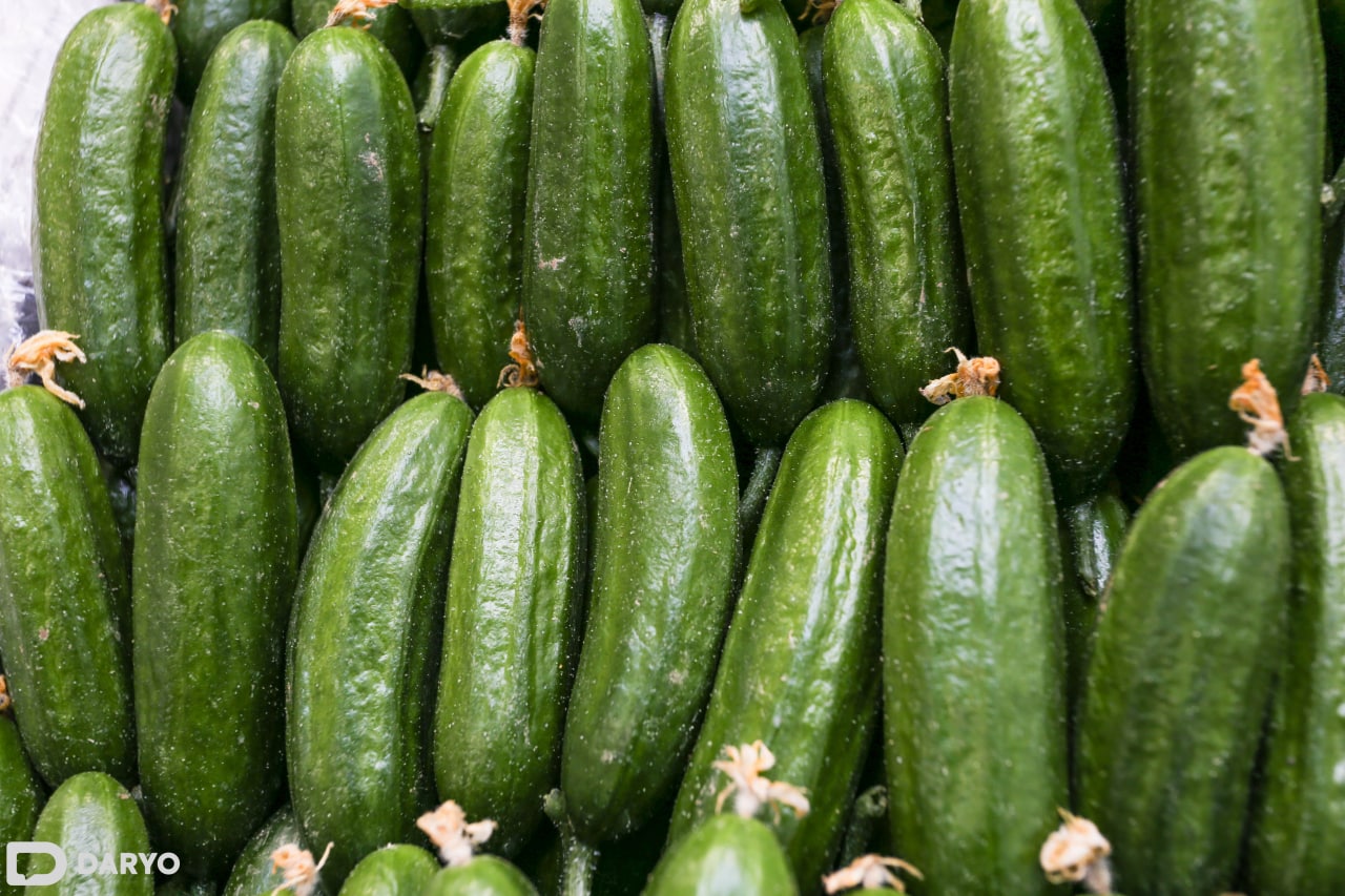 Bodring narxi 5 baravar qimmatlashdi. Toshkent bozorlaridagi narx-navo ...