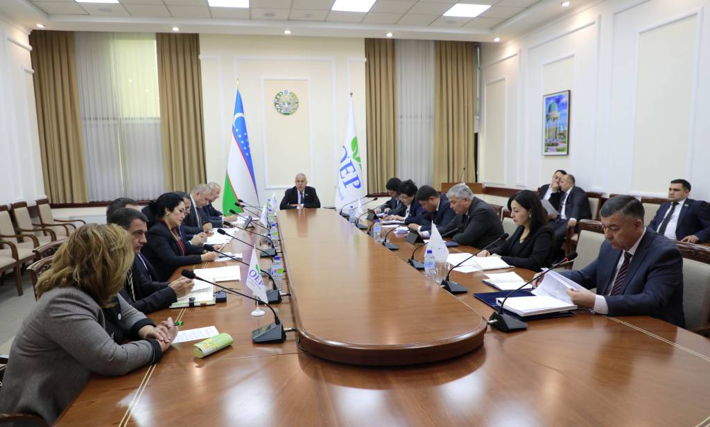 Senate of Uzbekistan approves law on transitioning to mixed electoral ...