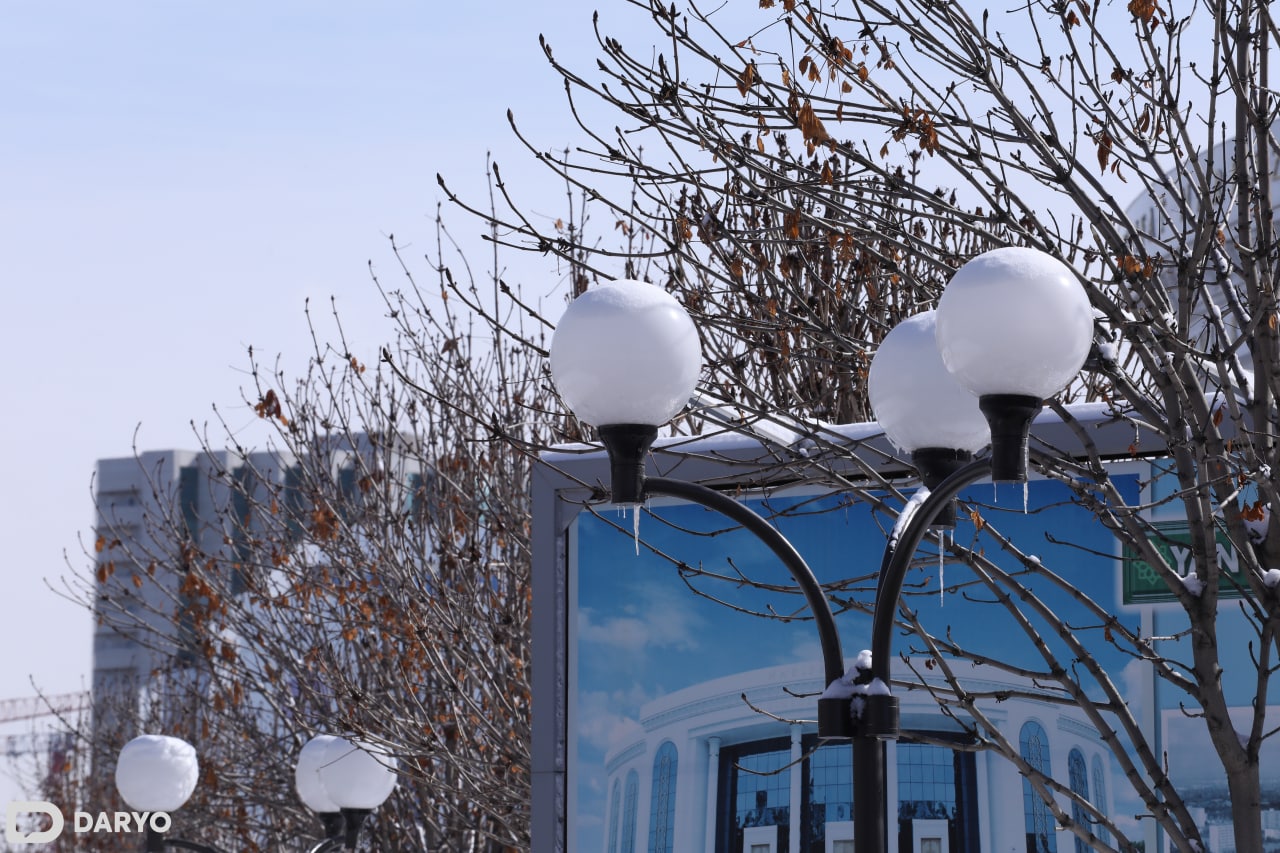 O‘zbekistonda 18-dekabr kuni qanday ob-havo bo‘ladi?