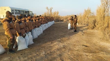 Uzbekistan to sow seeds of saxaul on dry bed of Aral Sea from air