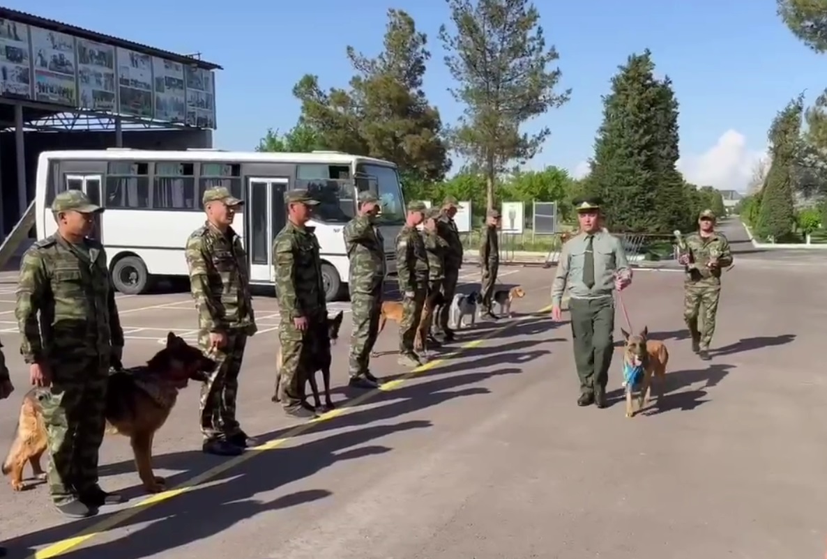 O‘zbekiston Bojxona qo‘mitasi “Qora” laqabli xizmat itini nafaqaga ...